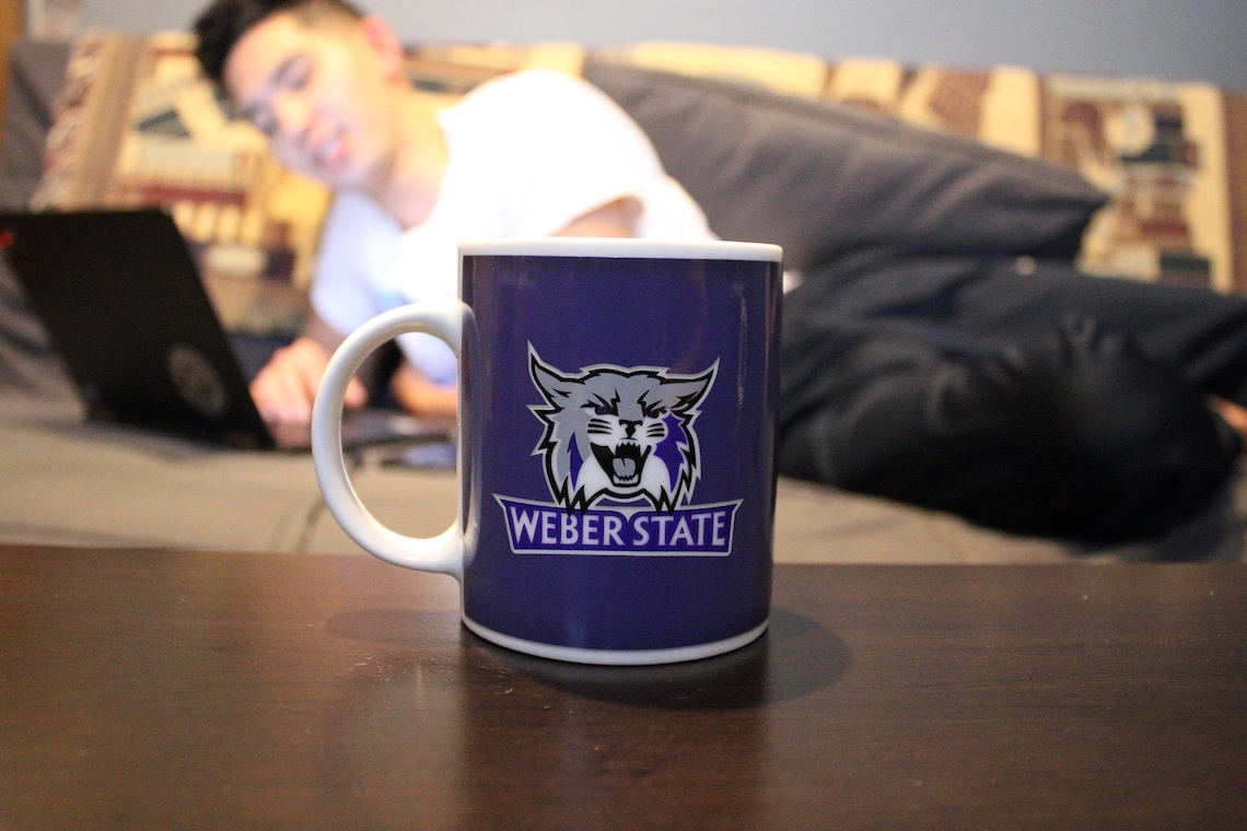 Color Changing Weber State University Wildcats NCAA ThermoH | Etsy