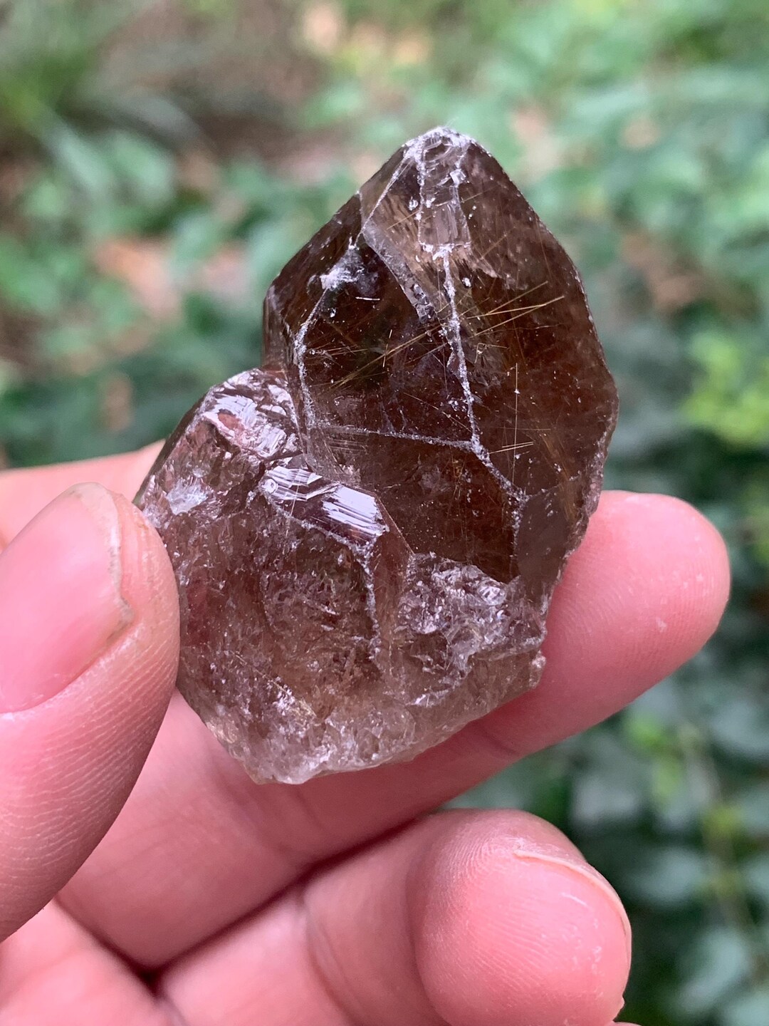 Natural Golden Rutile Crystal/smoky Quartz With Golden Needle Mineral ...