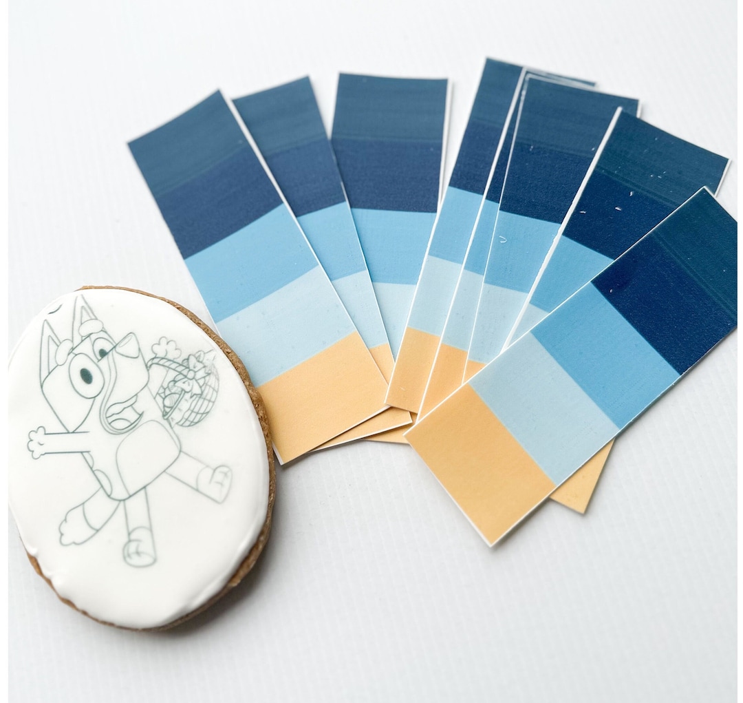 BLUEY Paint Your Own (PYO) Edible Paint Palettes/bluey Colour Pallete ...
