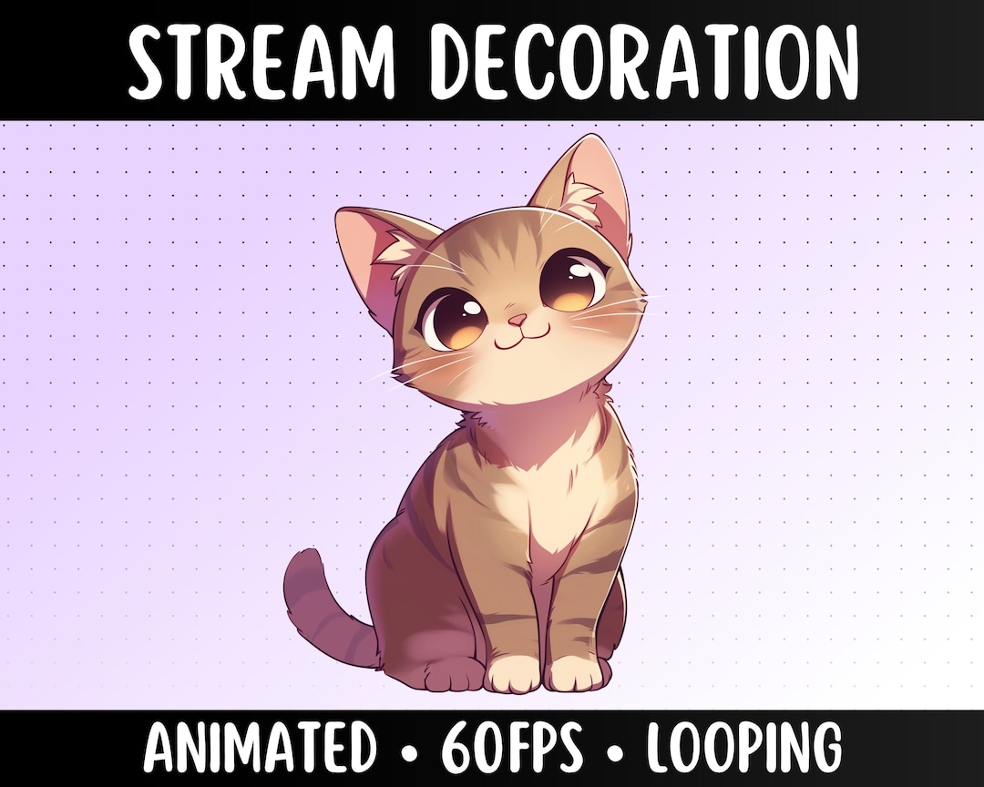 Animated Tabby Cat | Kitty Stream Decoration | Streamer Pet - Etsy