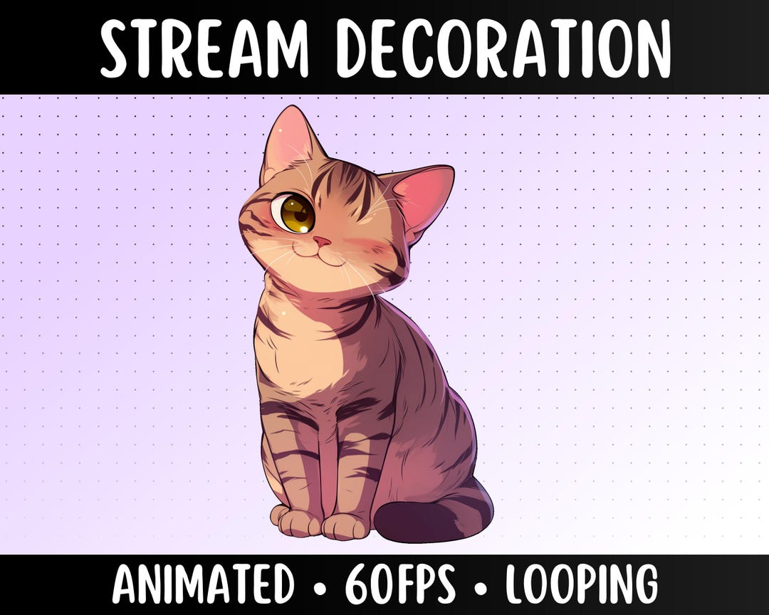 Animated Tabby Cat | Cute One-eyed Kitty Stream Decoration | Streamer ...
