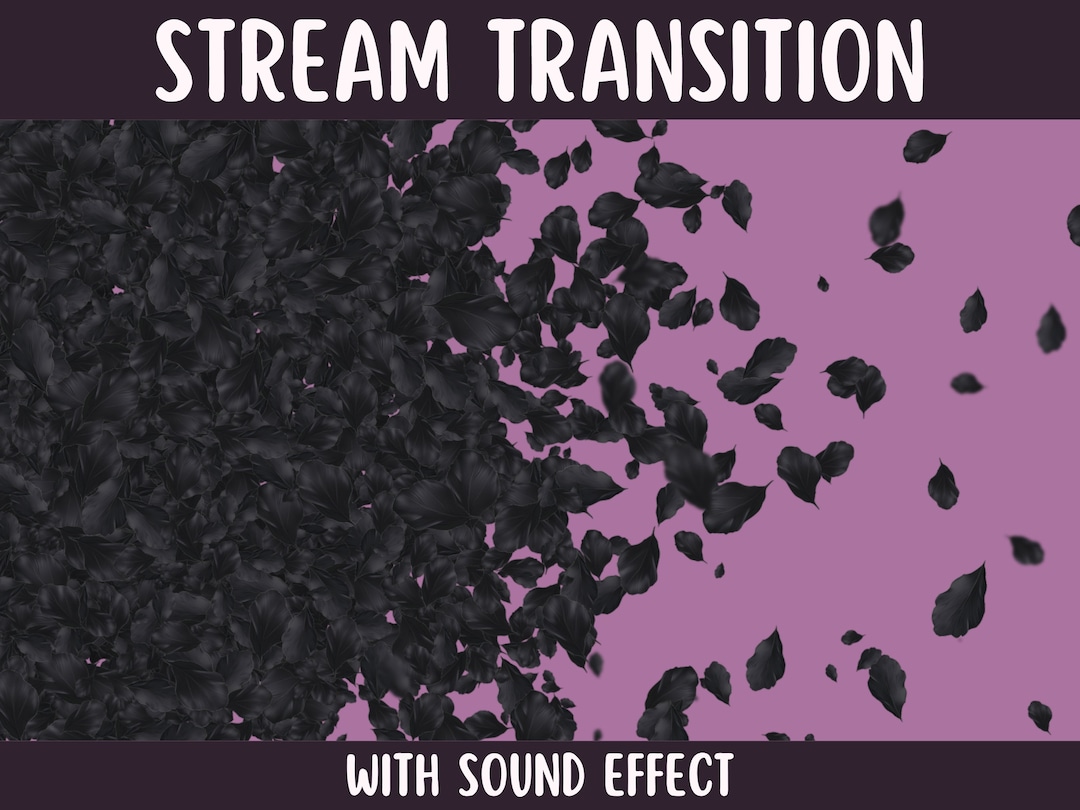 Black Petal Stinger Transition | Gothic Twitch Streamer Scene Changer ...