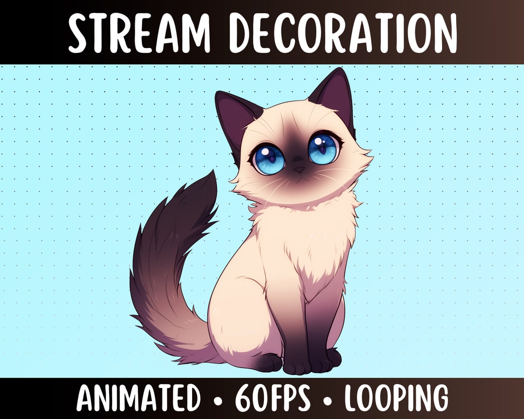 Animated Ragdoll Cat Stream Decoration | Looping Kitten Pet - Etsy