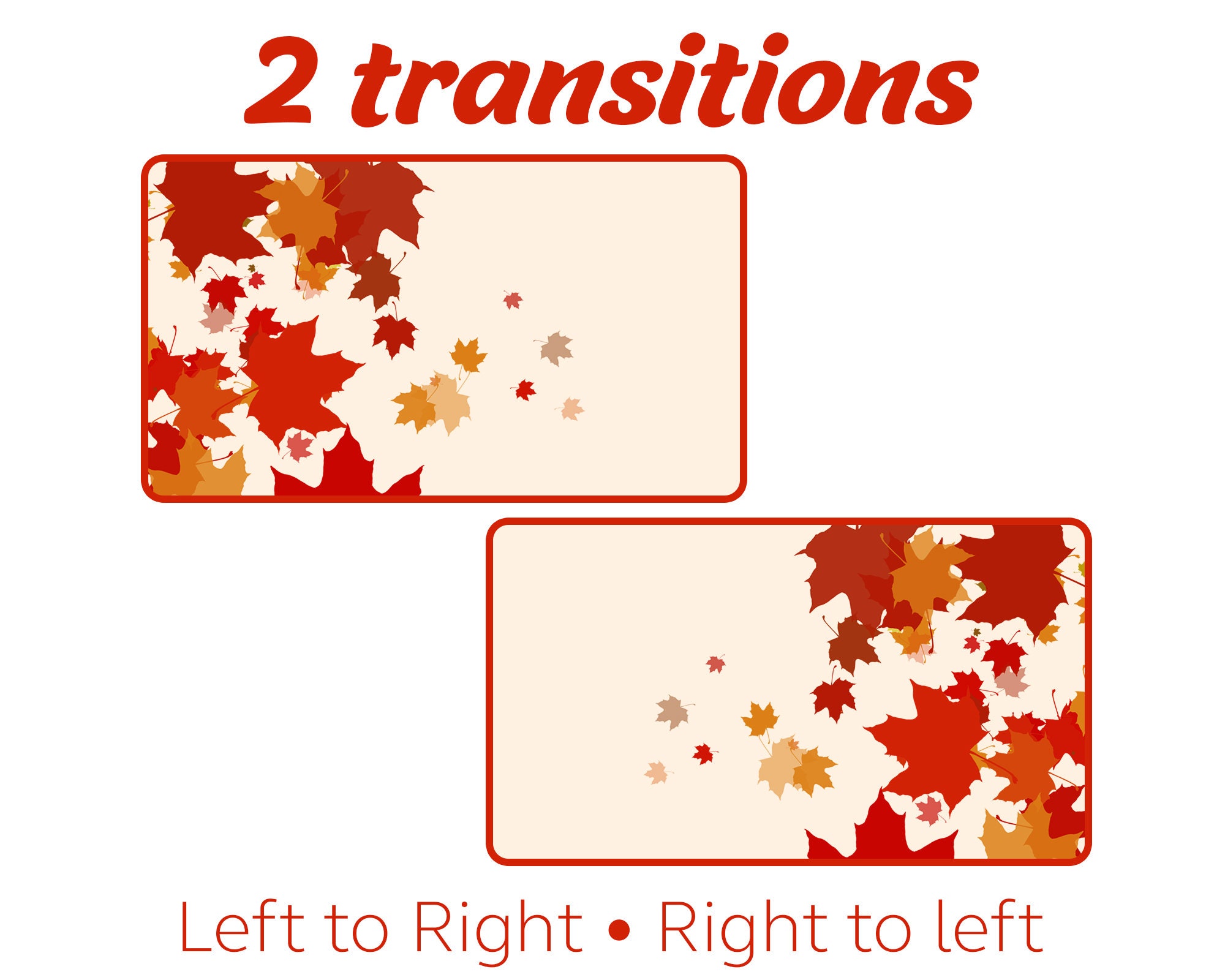 Leaves Stinger Transition Autumnal Fall Maple Streamer Scene - Etsy