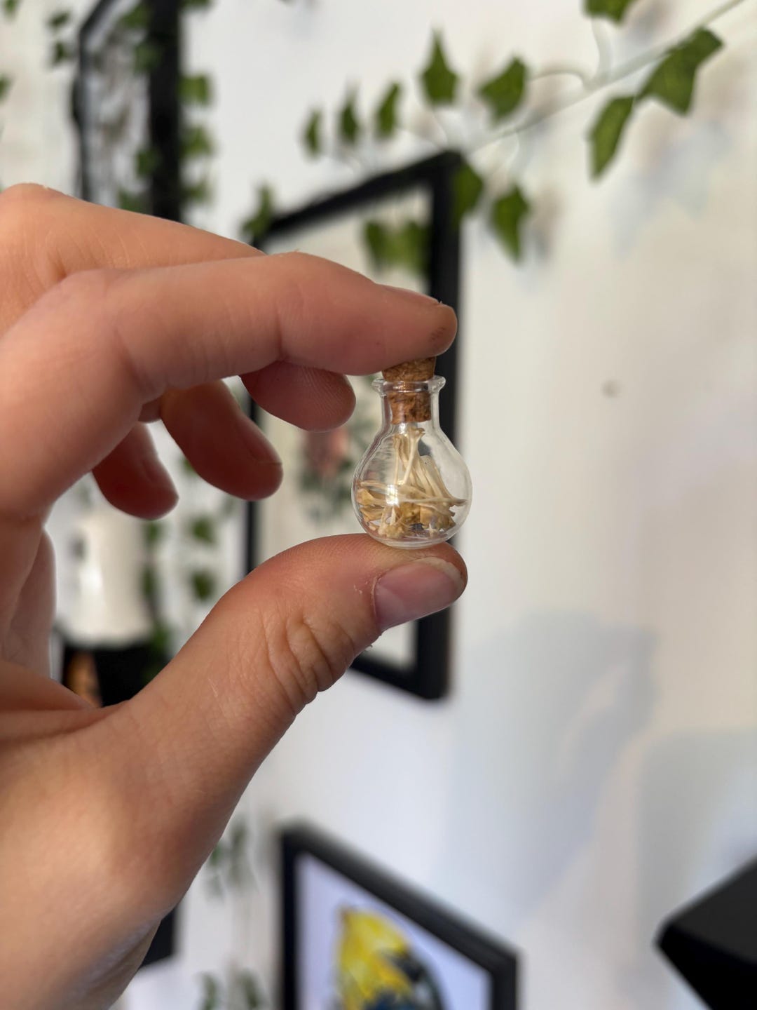 Miniature Bone Curio Bottle: Gothic Macabre Home Decor - Etsy
