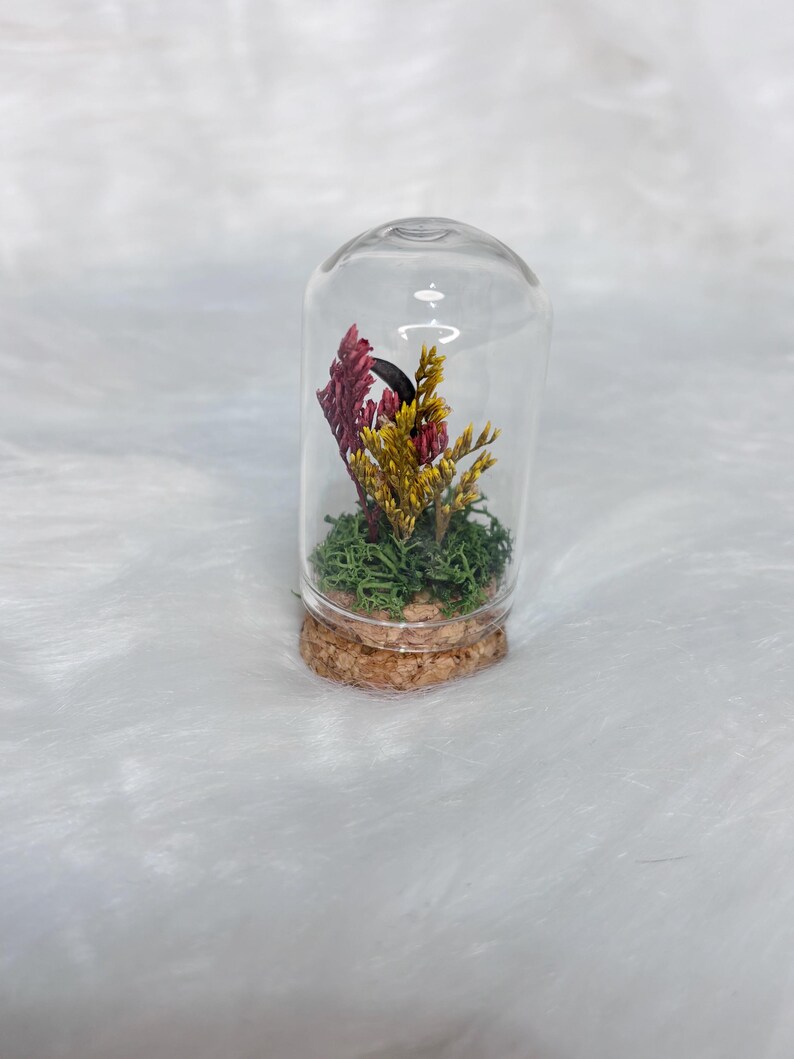 Carrion Crow Claw Dome | Taxidermy, Curio, Oddities, Gothic Gifts, Goth ...