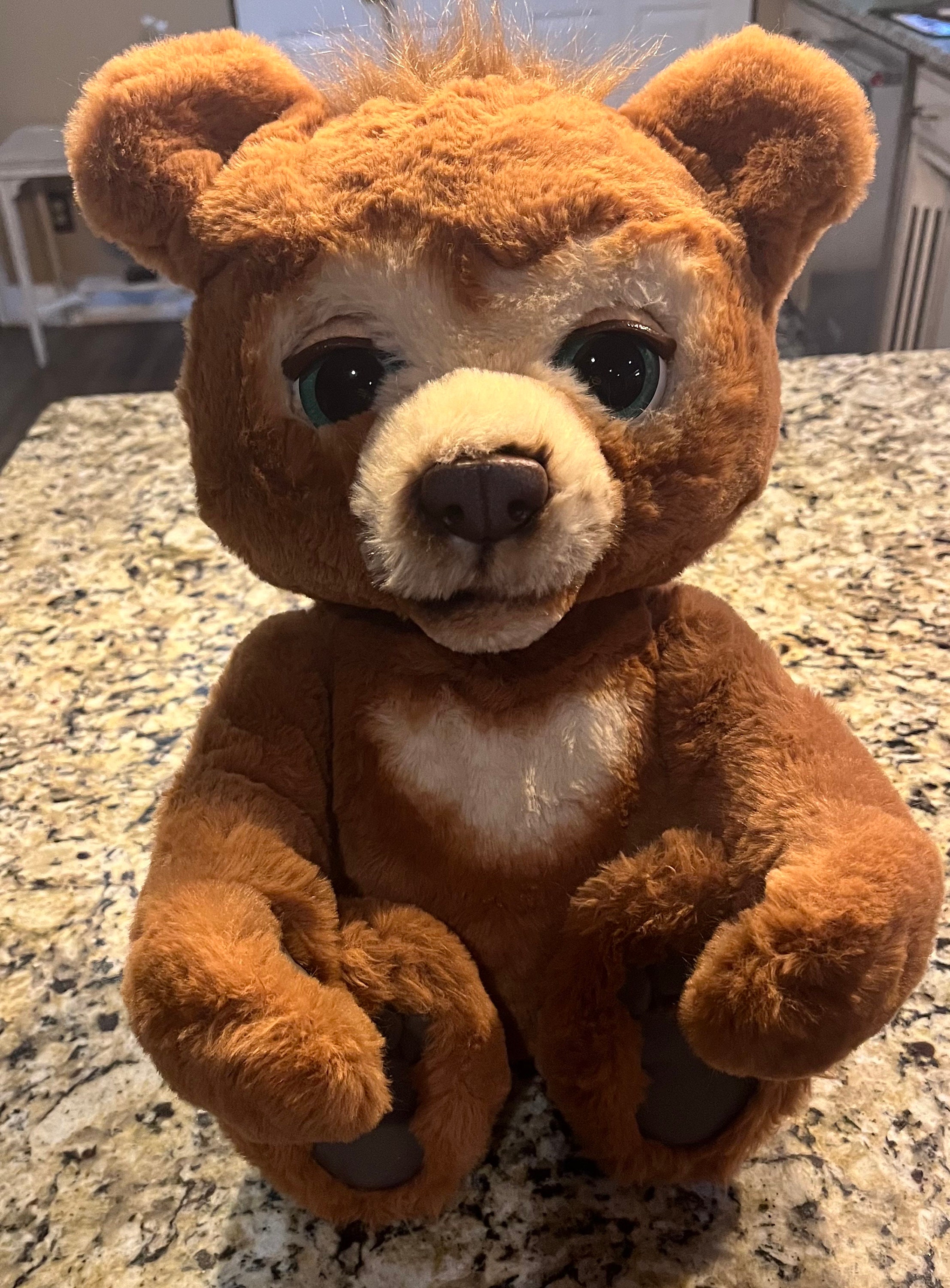Furreal Friends Cubby the Curious Bear Interactive Animatronic Plush 16 ...