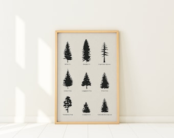 Conifer Poster | Etsy