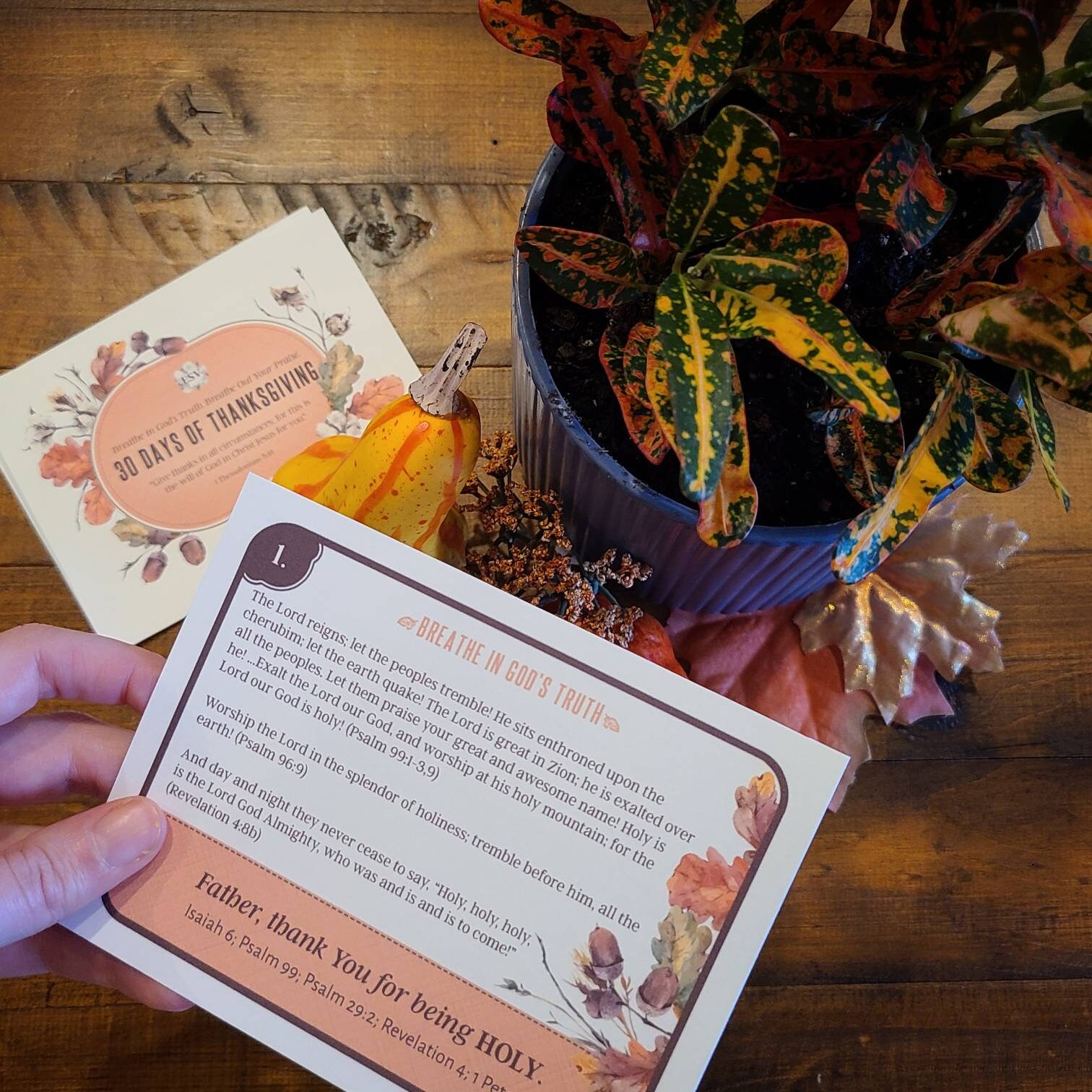 Set of 32 Printable Thanksgiving Scripture Cards KJV and ESV - Etsy