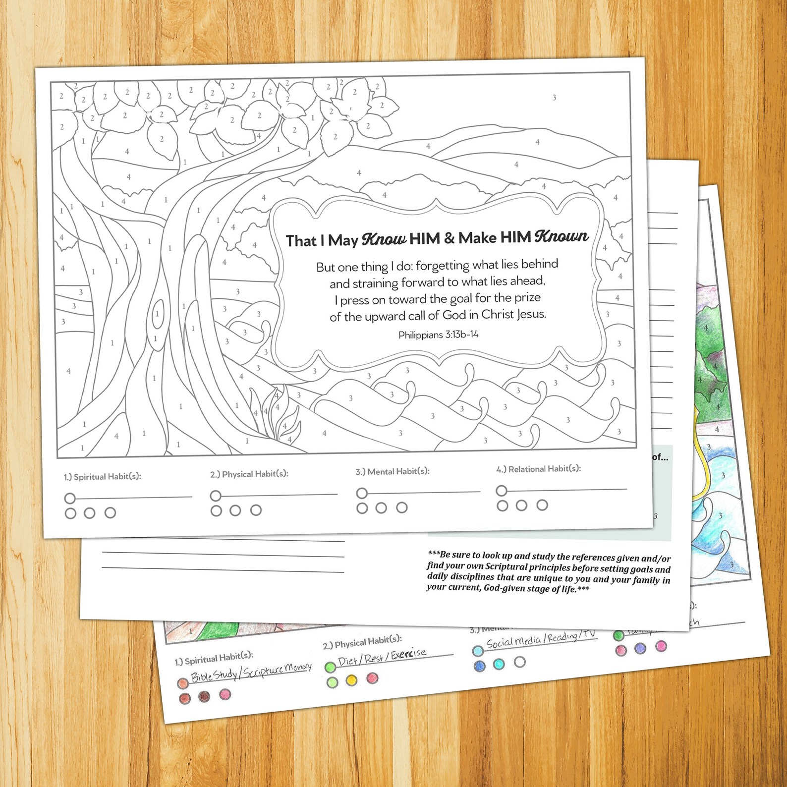 31 Day Habit Tracker Goal Setting Coloring Goal Sheet Daily Discipline ...