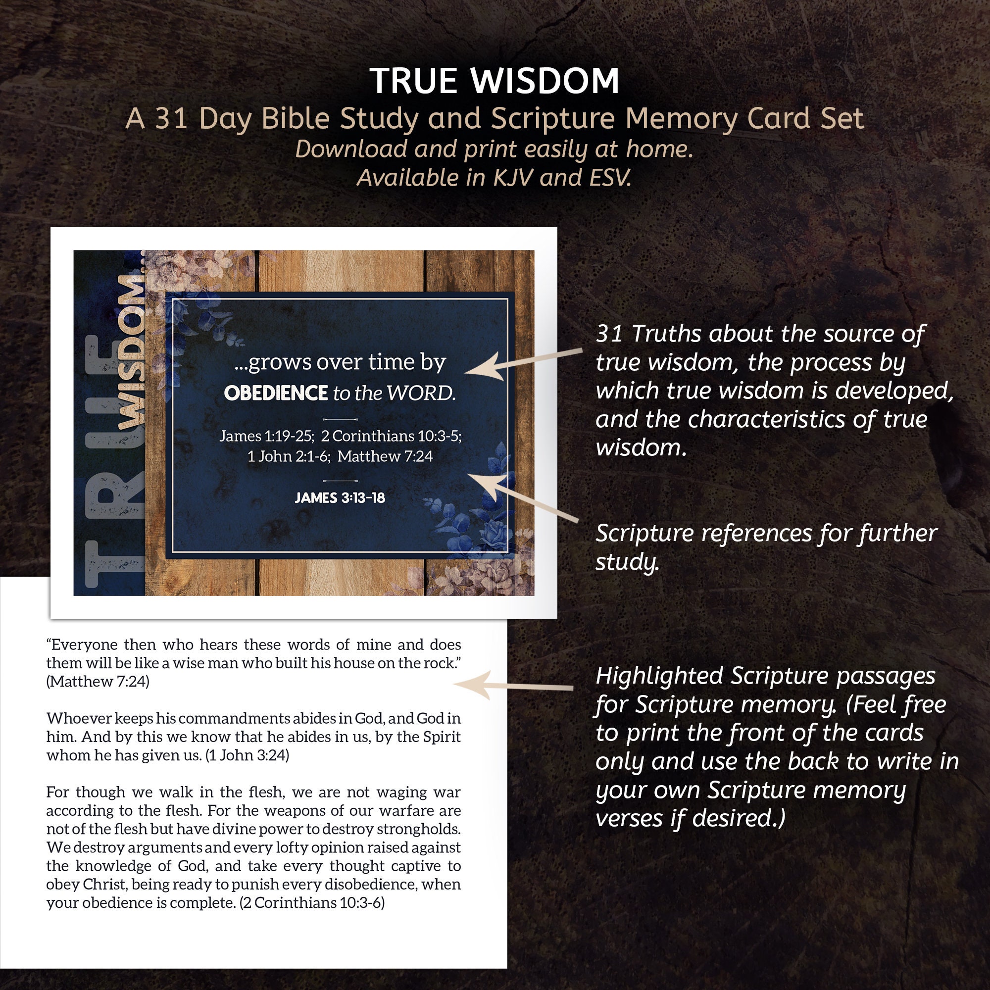 True Wisdom Bible Study and Memory Card Set - Scripture Flash Cards ...