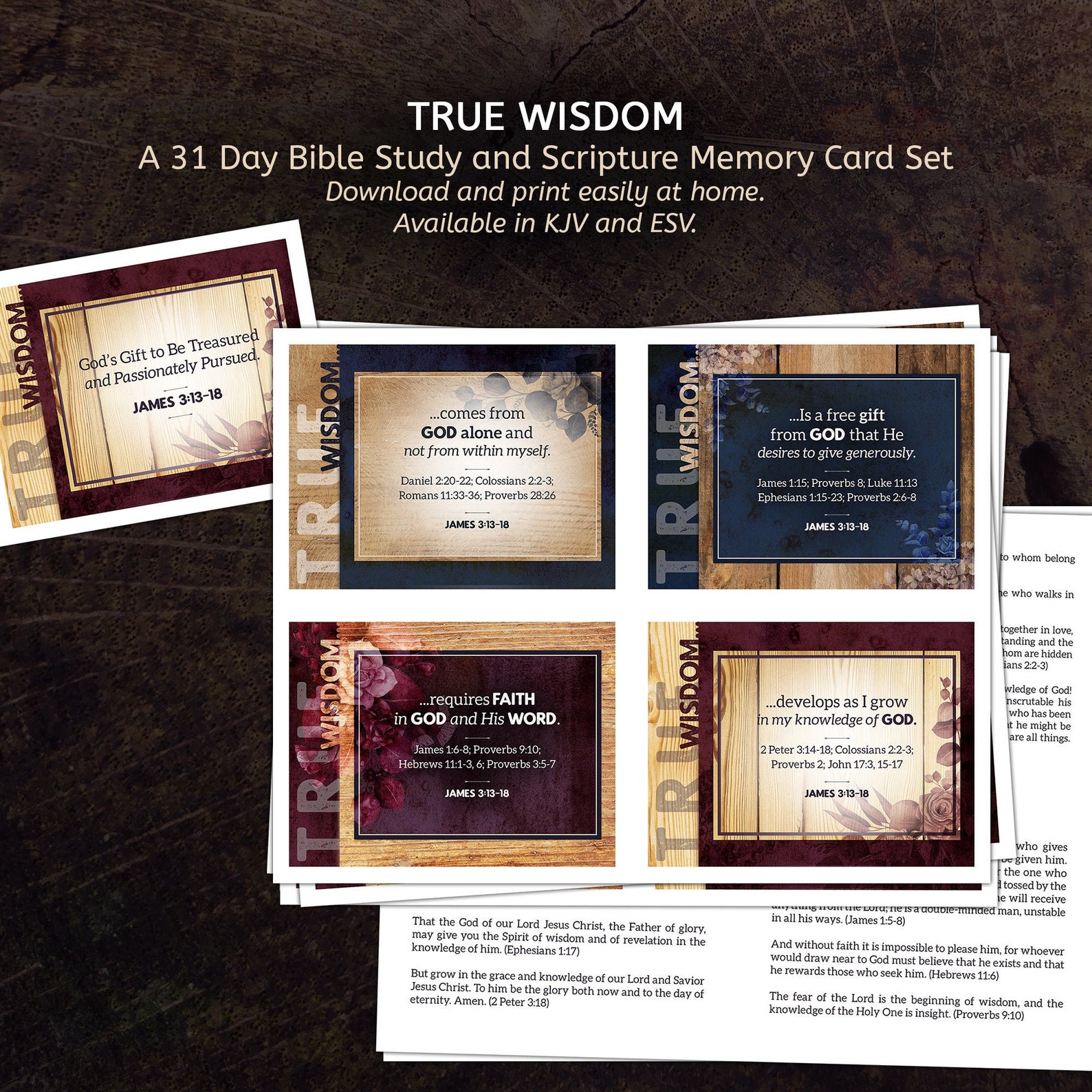 True Wisdom Bible Study and Memory Card Set - Scripture Flash Cards ...