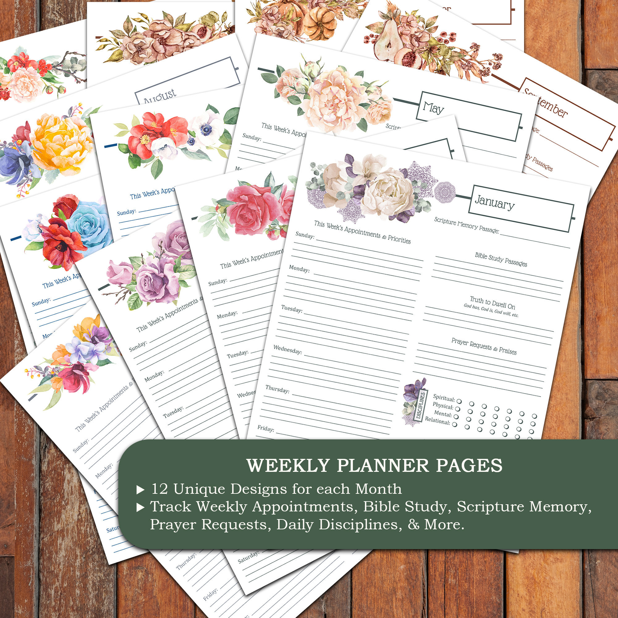 Weekly Printable Planner Pages - Weekly Snapshot - Undated Planner ...