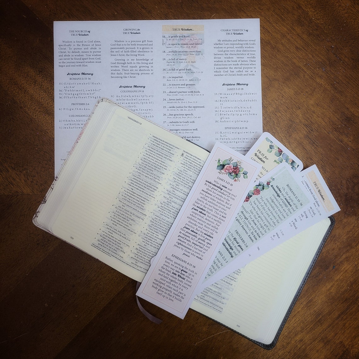 True Wisdom Bible Study Bookmarks - Scripture Memory Prompts ...