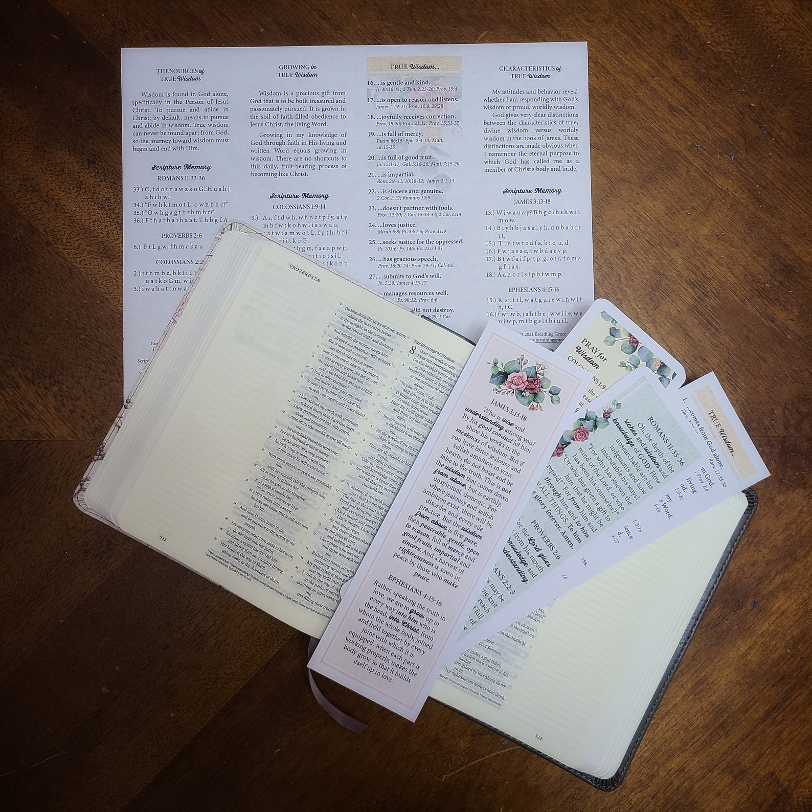 True Wisdom Bible Study Bookmarks - Scripture Memory Prompts ...