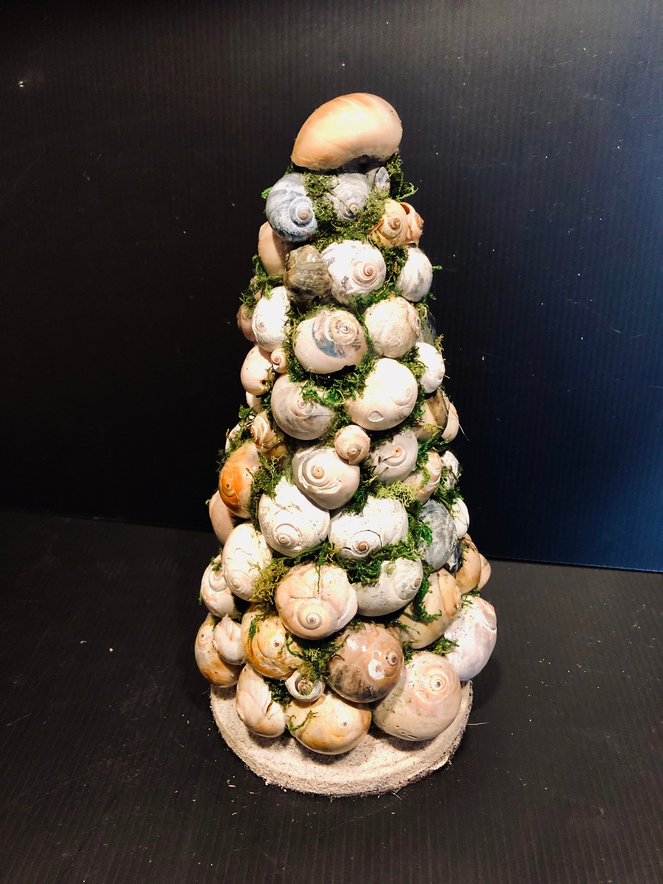 Snail Shell Topiary - Etsy