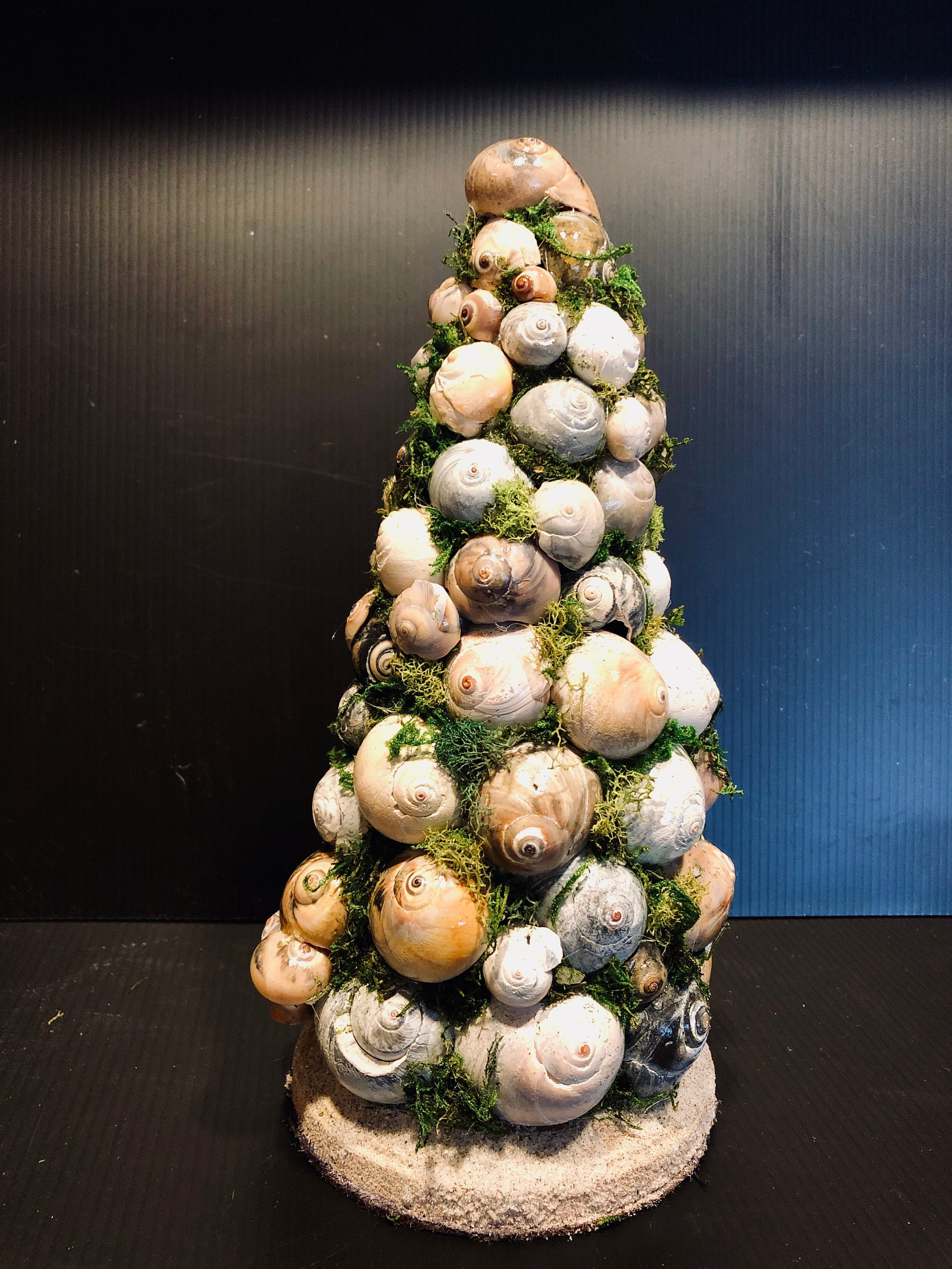 Snail Shell Topiary - Etsy