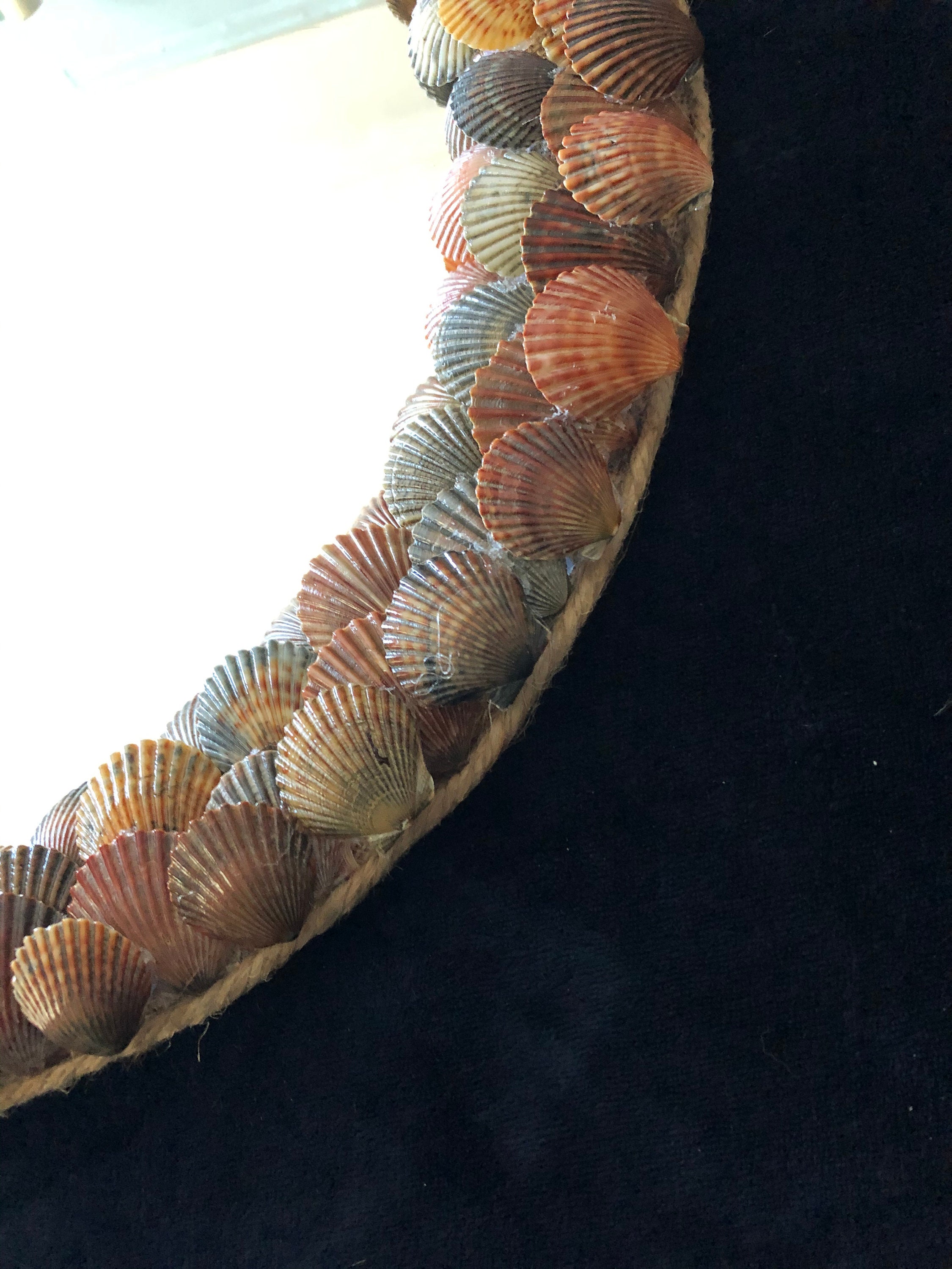 19 Colorful Scallop Shell Entryway Mirror - Etsy