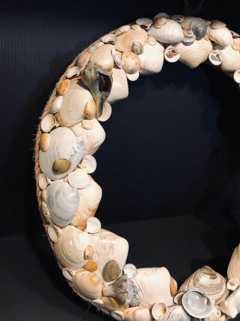 Clam & Welk Shell 19 Inch Wreath - Etsy