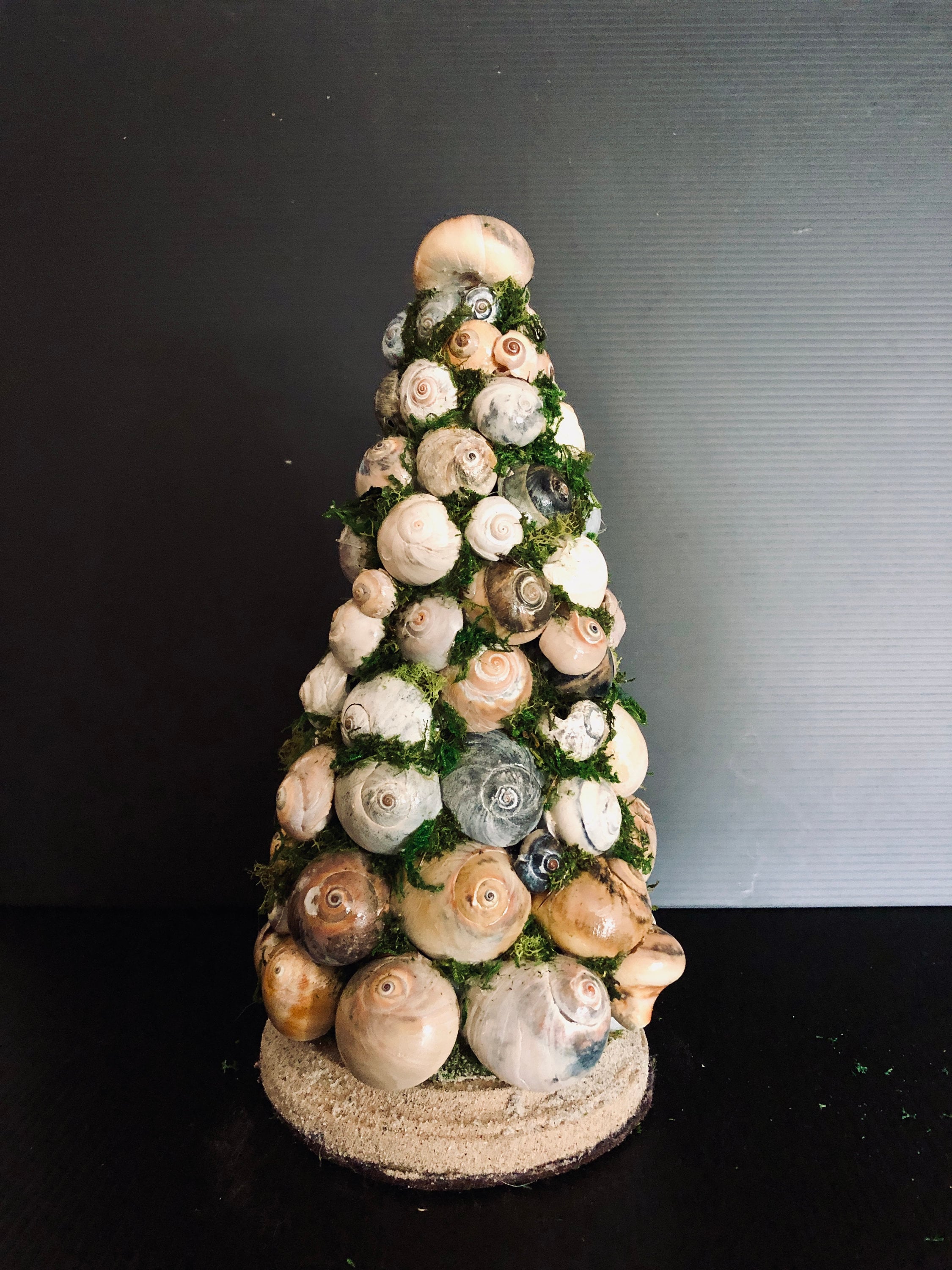 Snail Shell Topiary - Etsy