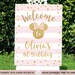 Welcome Sign Minnie Mouse Birthday Minnie Mouse Welcome - Etsy