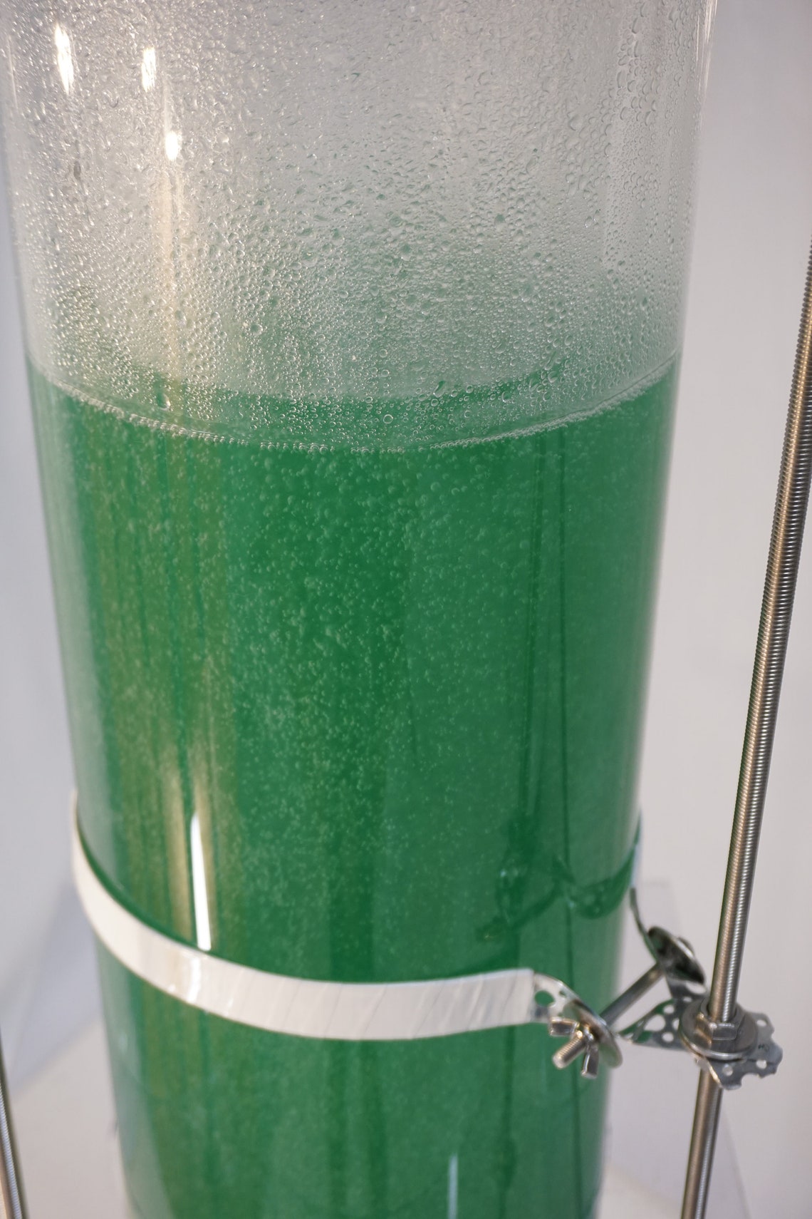 Photobioreactor 30 Liter / 7.9 US Gallons for Home Cultivation of ...