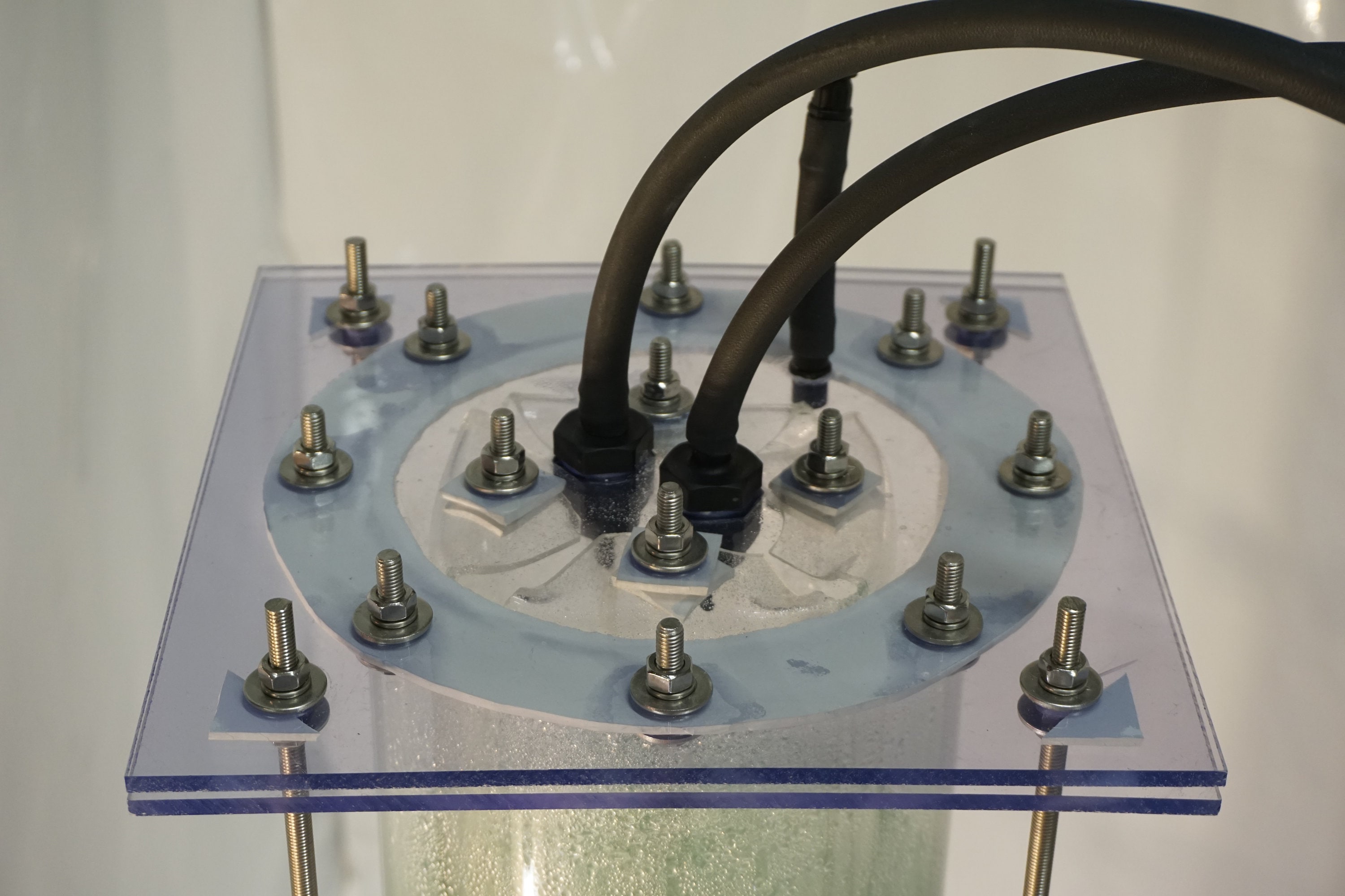 Photobioreactor (30 Liter / 7.9 US Gallons) for Home Cultivation of ...