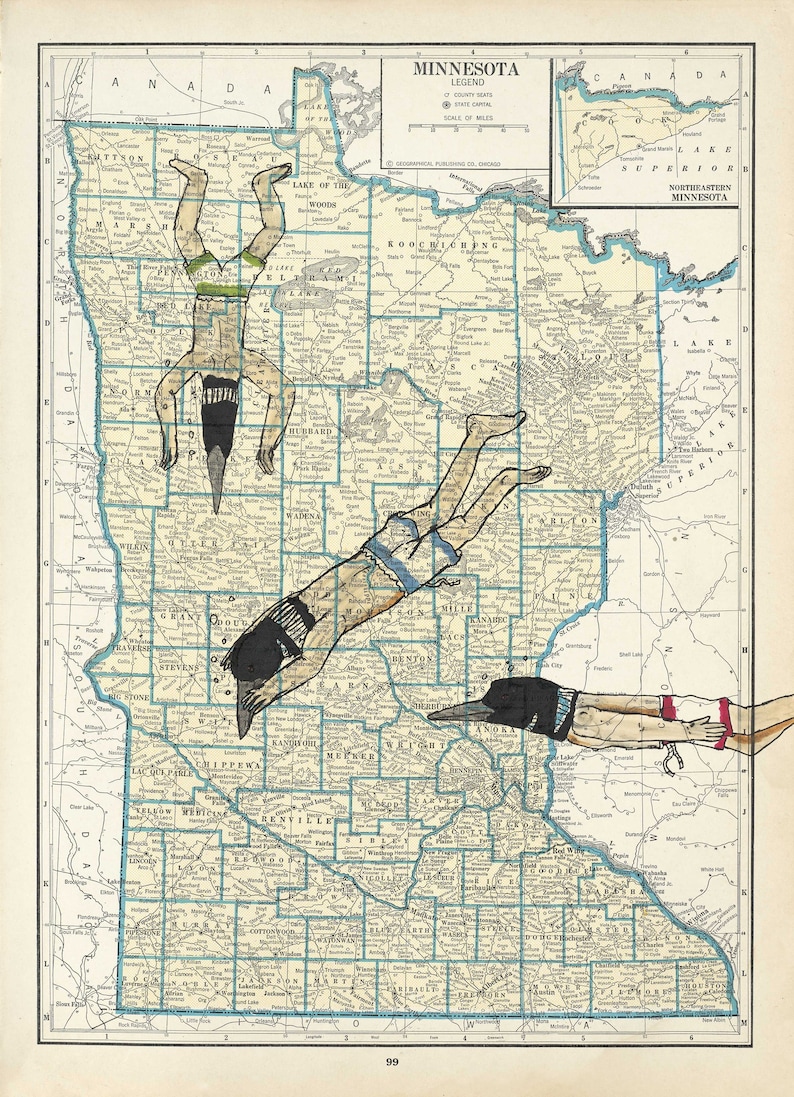 Minnesota Loons at the Lake - Etsy