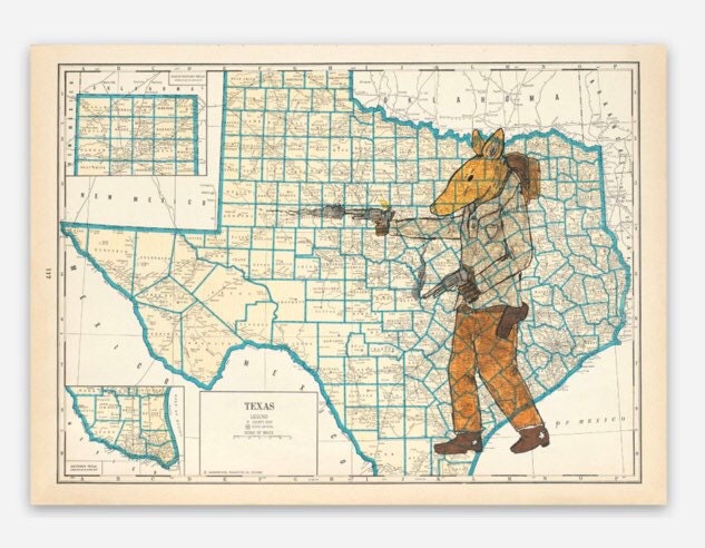 Texas Armadillo STICKER | Etsy