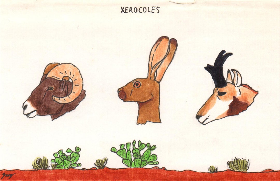 High Desert Animals (xerocoles) - Etsy