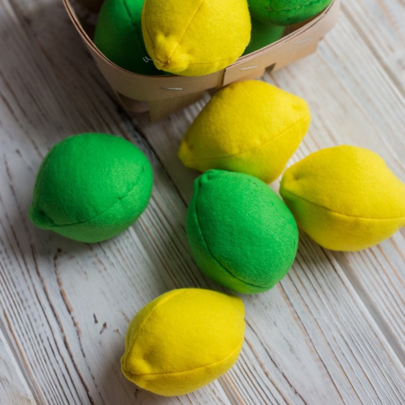 Lemon Newborn Prop - Etsy