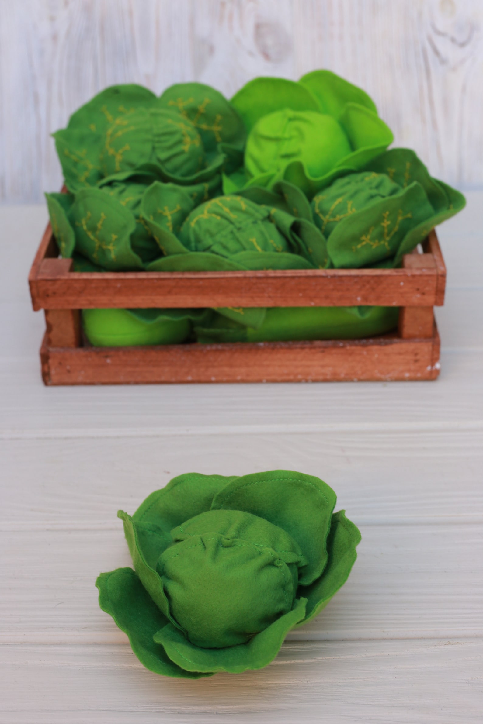 Cabbage Play Food felt Food Vegetable Fruit Pretend Play - Etsy Canada