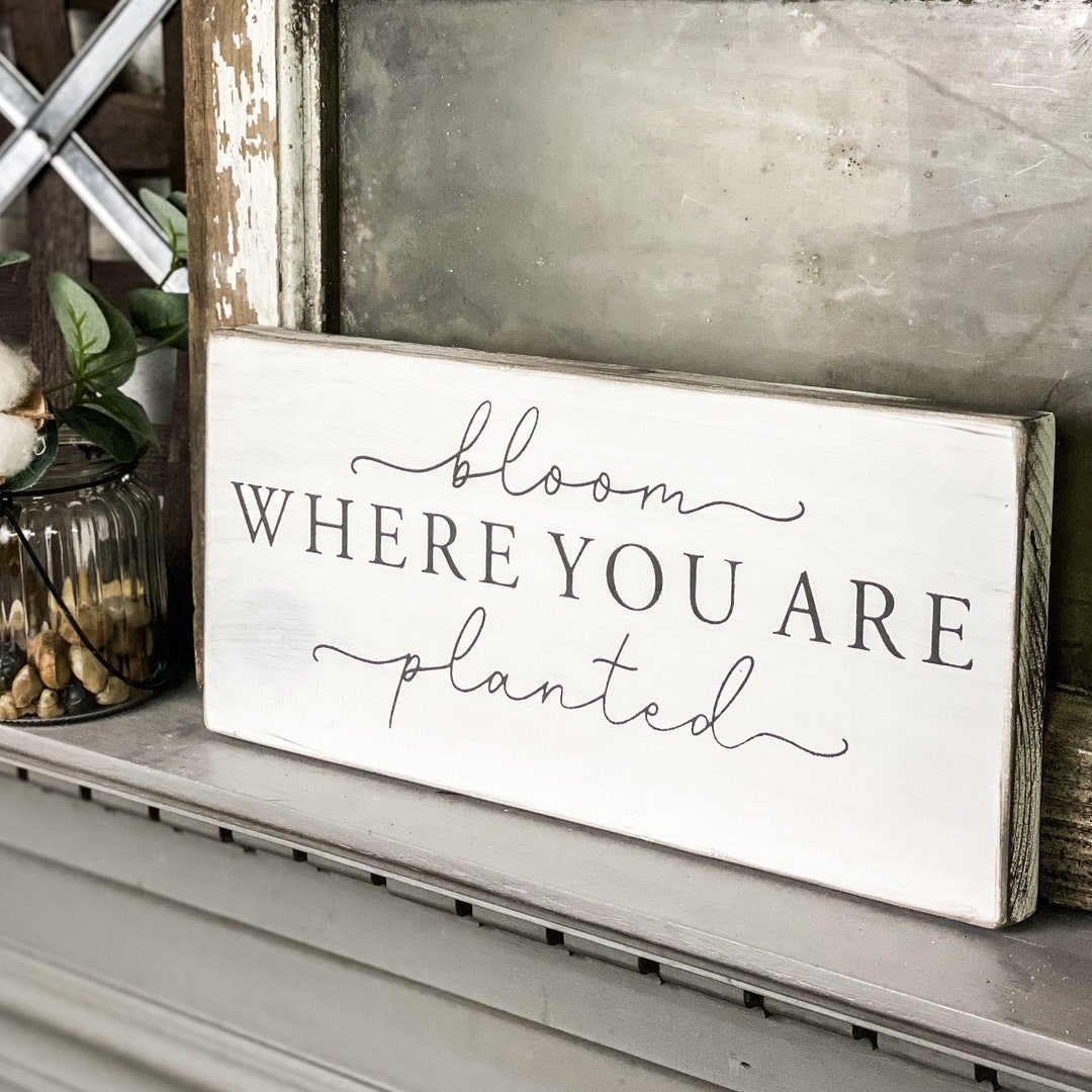 Bloom Where You Are Planted Sign, Gardener Gift, Christian Gift for Her ...