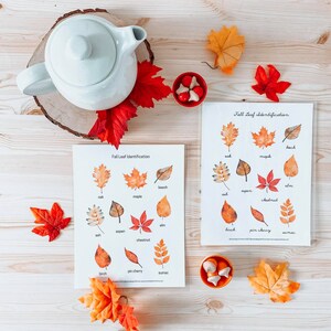 Fall Activities Printable,fall Activities Kindergarten,fall Printables ...