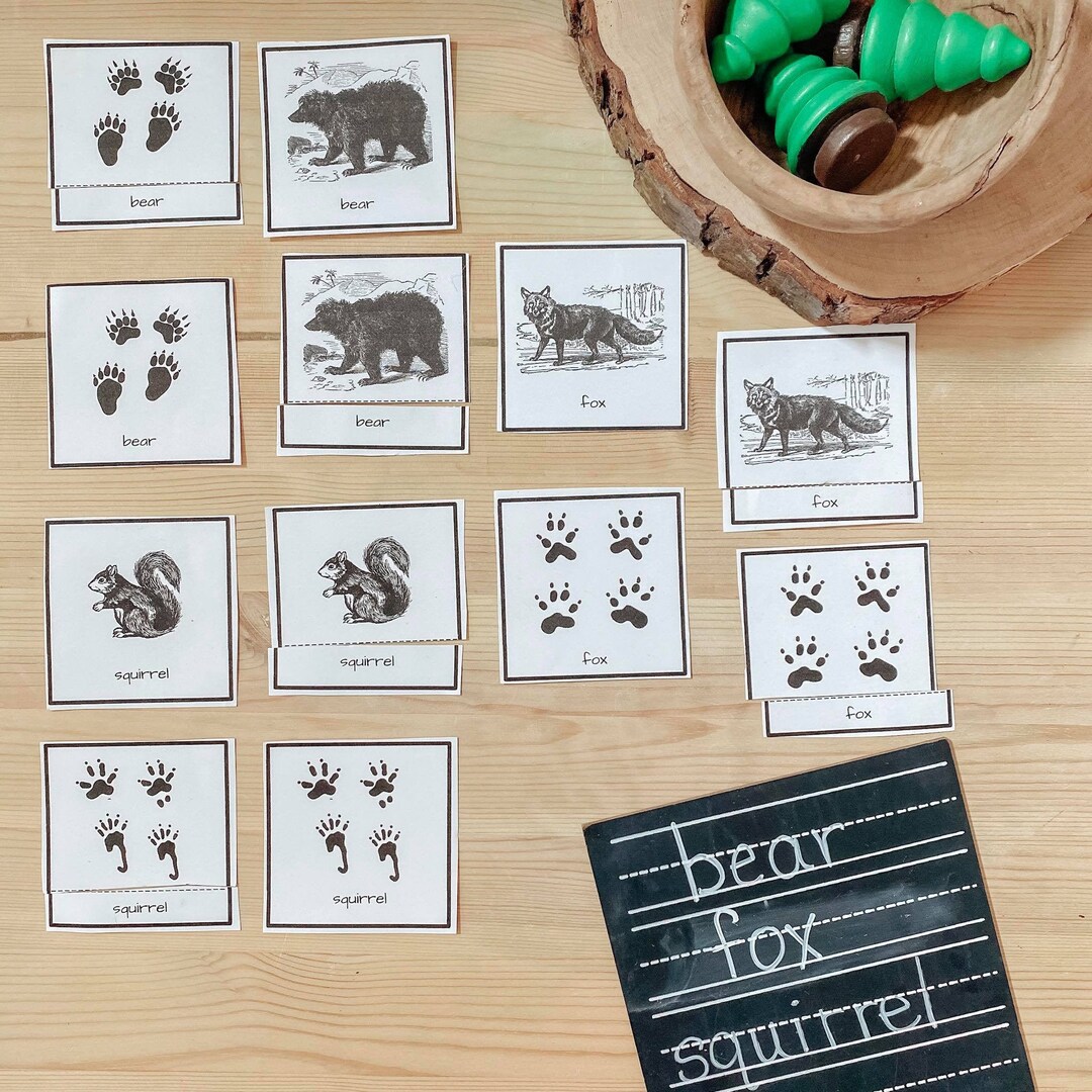 Animal Tracks Cardsmontessori Three Part Cardsnomenclature Cardsanimal ...
