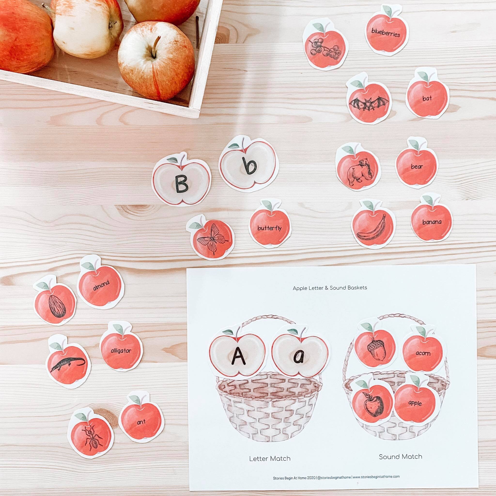 Apple Beginning Letter & Sound Match|beginning Sounds|beginning Letter ...
