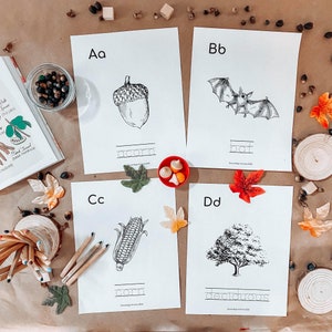 Fall Learning Printables|fall Learning for Kids|fall Coloring Pages ...