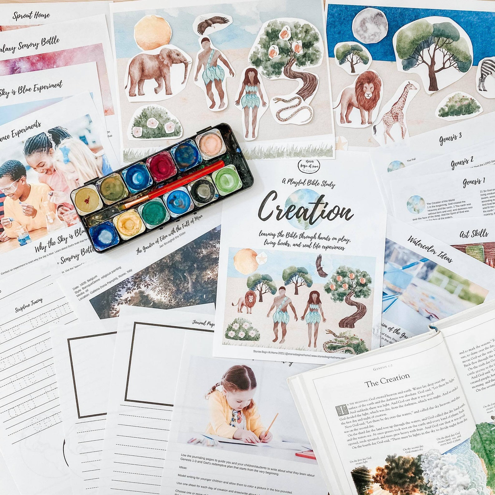 Creation Bible Study for Kids|creation Bible Story|creation Homeschool ...