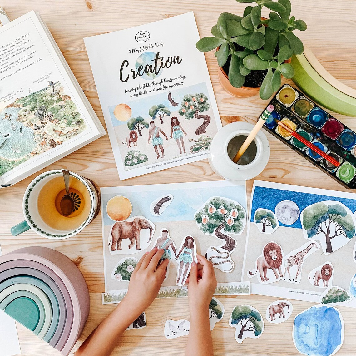 Creation Bible Study for Kids|creation Bible Story|creation Homeschool ...