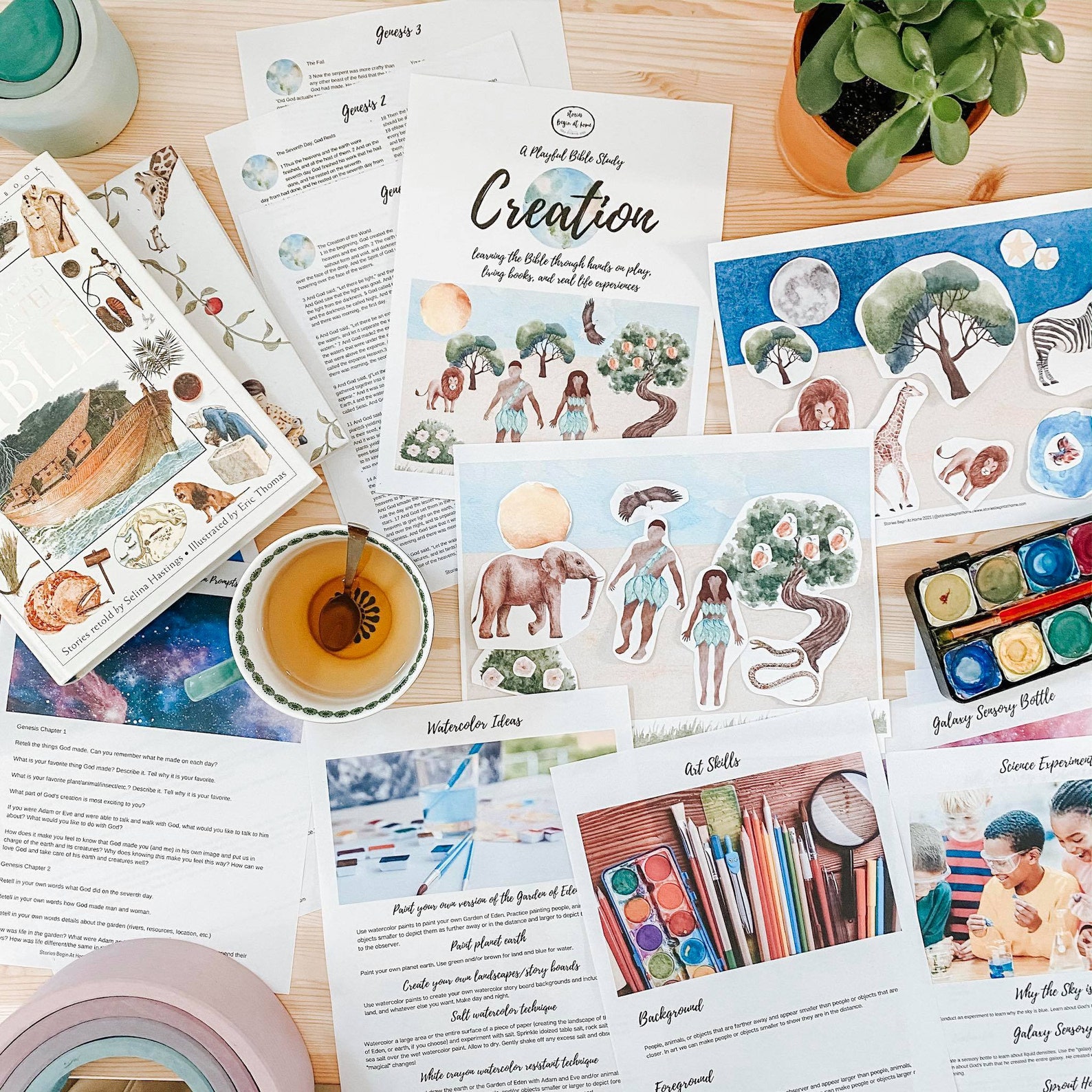 Creation Bible Study for Kids|creation Bible Story|creation Homeschool ...