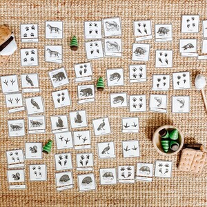 Animal Tracks Cardsmontessori Three Part Cardsnomenclature Cardsanimal ...