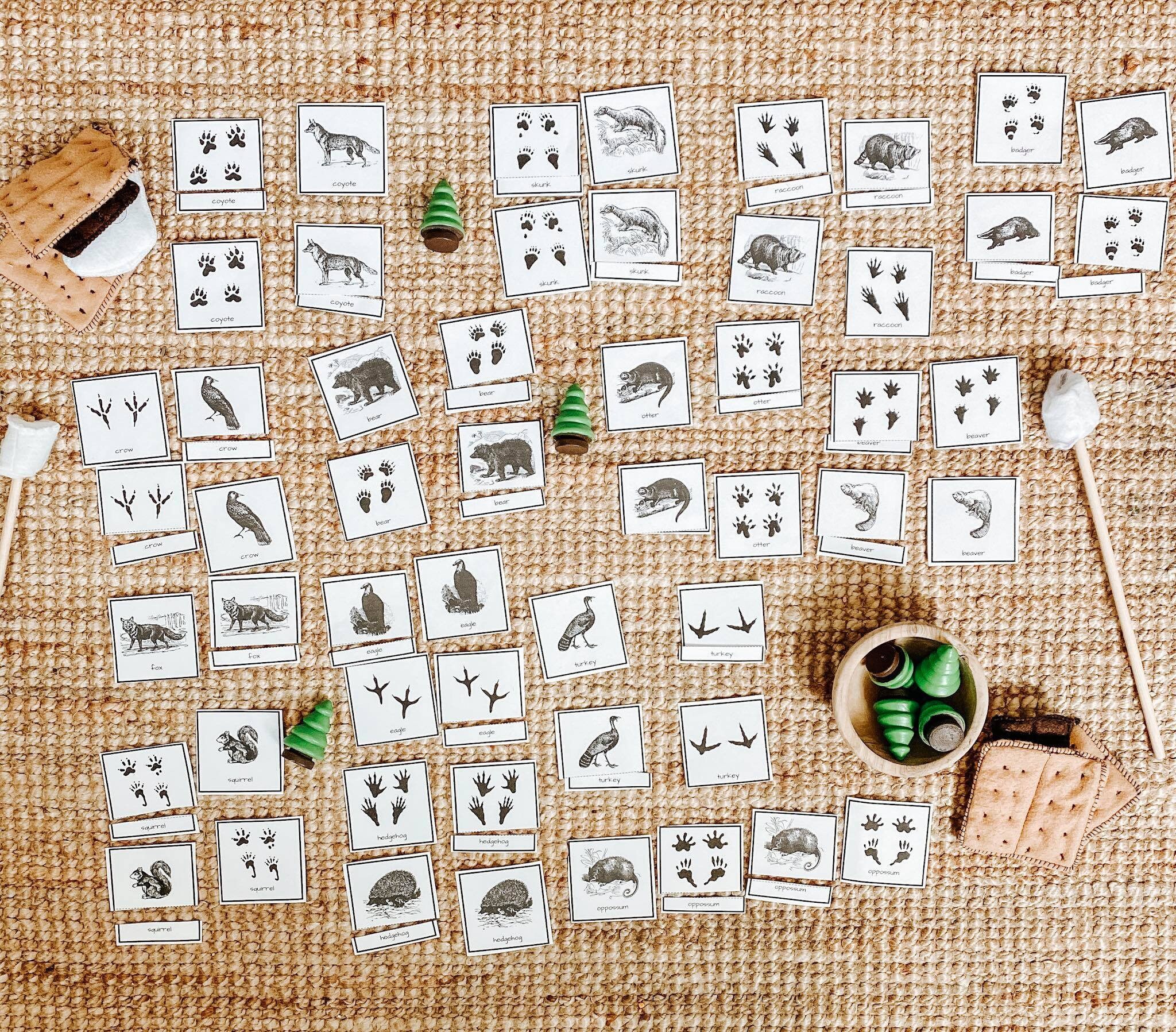 Animal Tracks Cardsmontessori Three Part Cardsnomenclature Cardsanimal ...