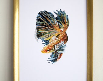 Drawing Fighting Fish - Etsy