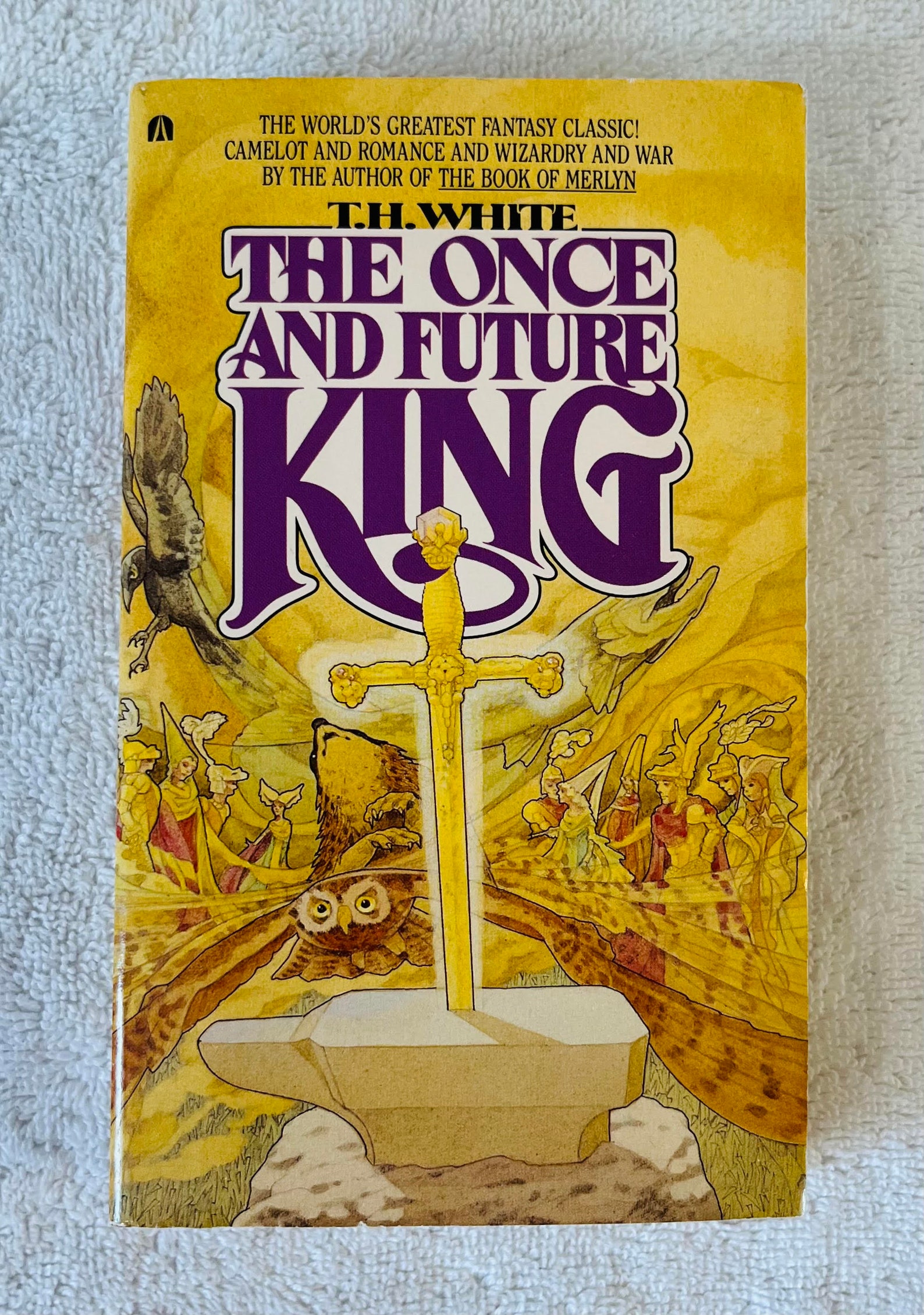 T. H. WHITE the Once and Future King 1987 Paperback Fantasy Classic ...