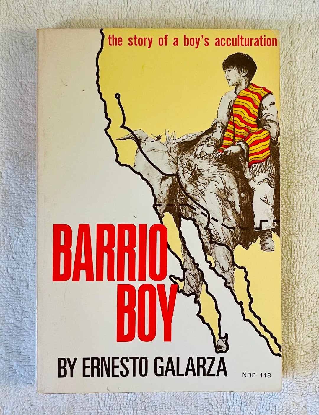 ERNESTO GALARZA - Barrio Boy - 1993 Soft Cover Classic - Etsy