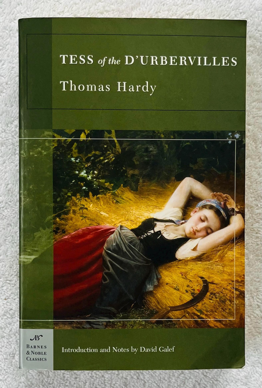 THOMAS HARDY - Tess of the D'urbervilles - Trade Soft Cover - Barnes ...
