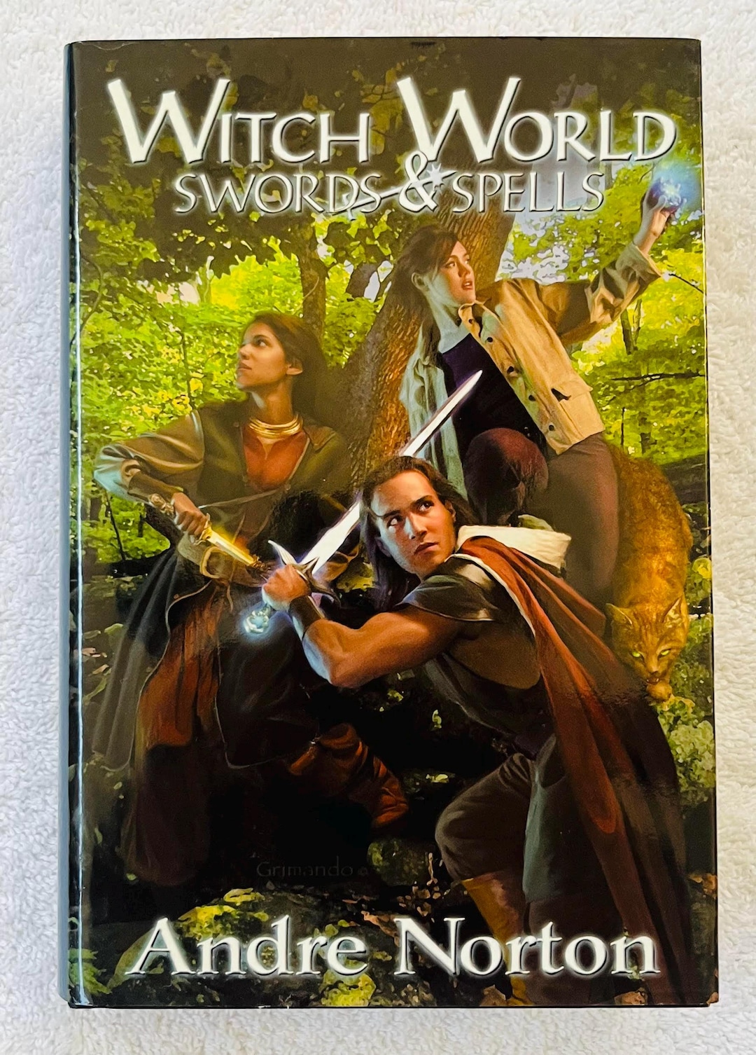 ANDRE NORTON - Witch World: Sword & Spells (omnibus) - Hardcover in Dj ...