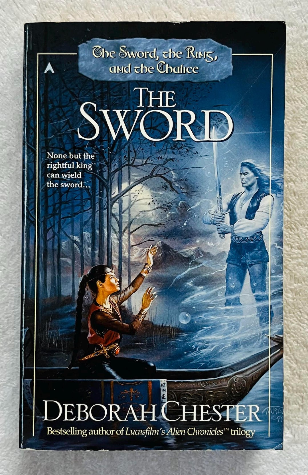 DEBORAH CHESTER - the Sword - 2000 Fantasy Paperback - the Sword, the ...