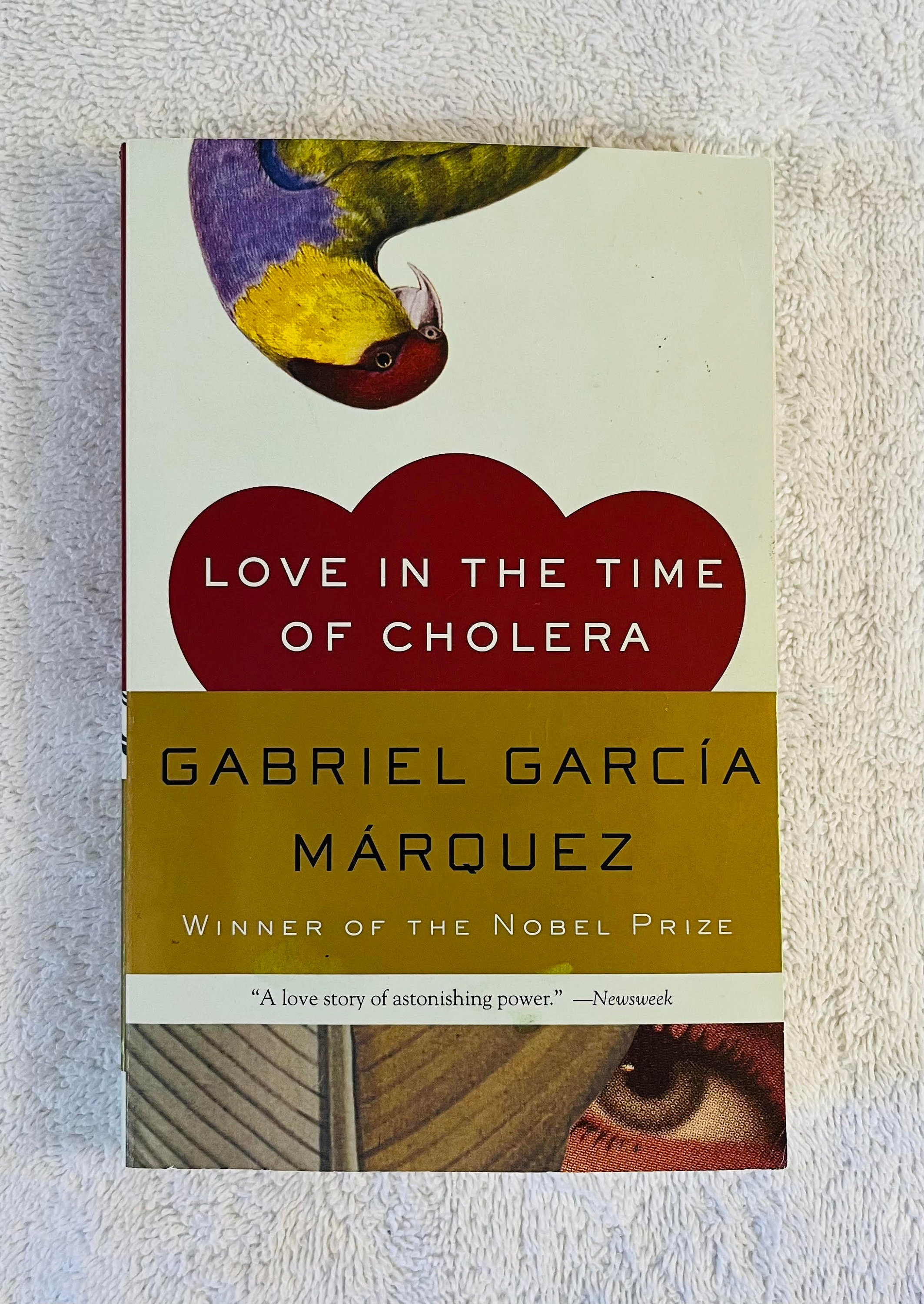 Love In The Time Of Cholera Poster