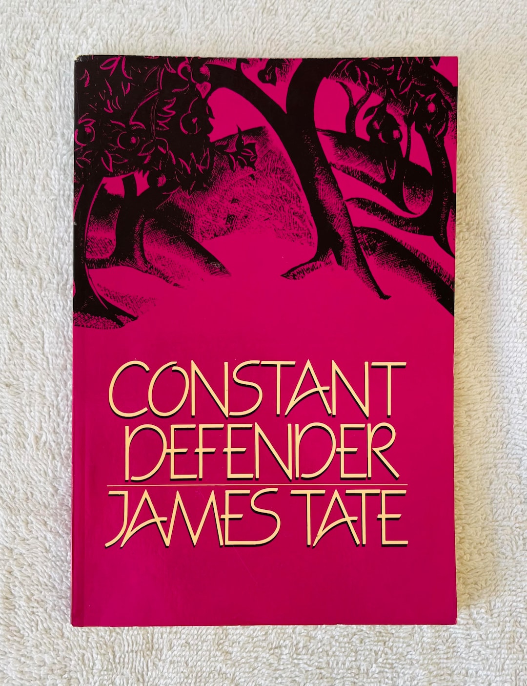 JAMES TATE Constant Defender: Poems 1983 First Edition - Etsy